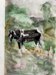 Jane Wheeler – photos, writing & painting, walking and drawing in Scotland