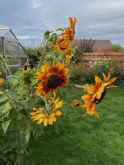 Jane Wheeler – photos, writing & painting, walking and drawing in Scotland